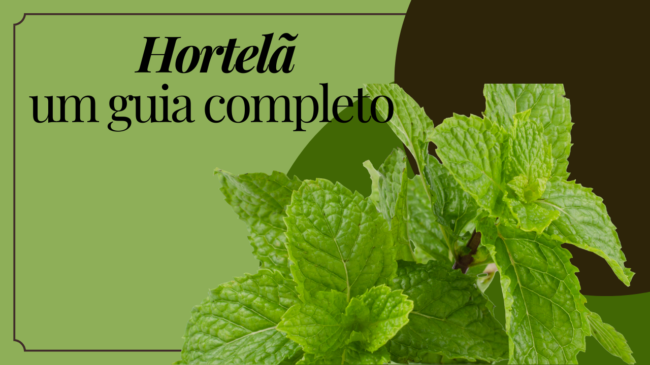 Hortelã: um guia completo sobre essa planta versátil - Cook Mania